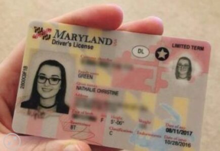 Buy Maryland Driver's License And ID Card » MD Real IDs