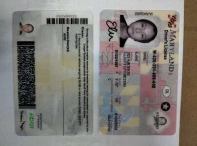 Buy Maryland Driver's License And ID Card » MD Real IDs