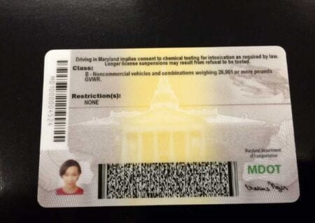 Buy Maryland Driver's License And ID Card » MD Real IDs