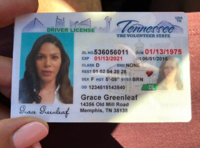 Buy Tennessee Driver's License And ID Card » TN DL And IDs