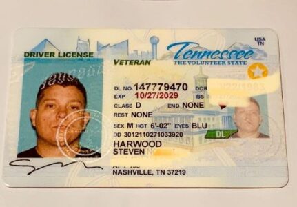 Buy Tennessee Driver's License And ID Card » TN DL And IDs