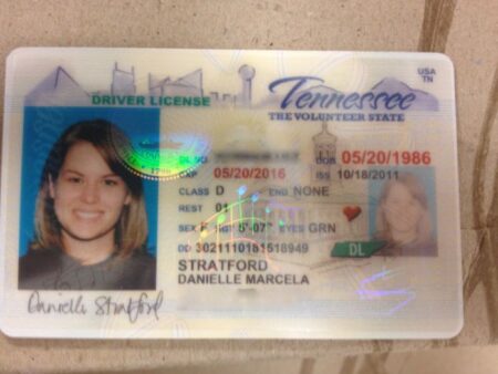 Buy Tennessee Driver's License And ID Card » TN DL And IDs